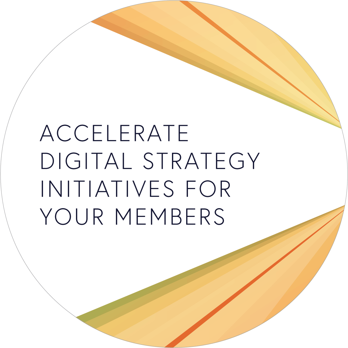 How Associations Are Evolving Their Digital Engagement Strategies